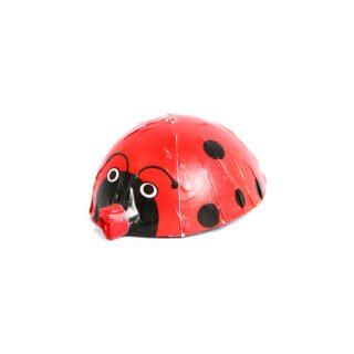 Lady Bug - Skysong Fireworks